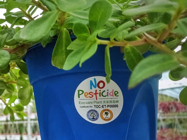 Eco Friendly Plant Nursery and Gardening Center in Malaysia